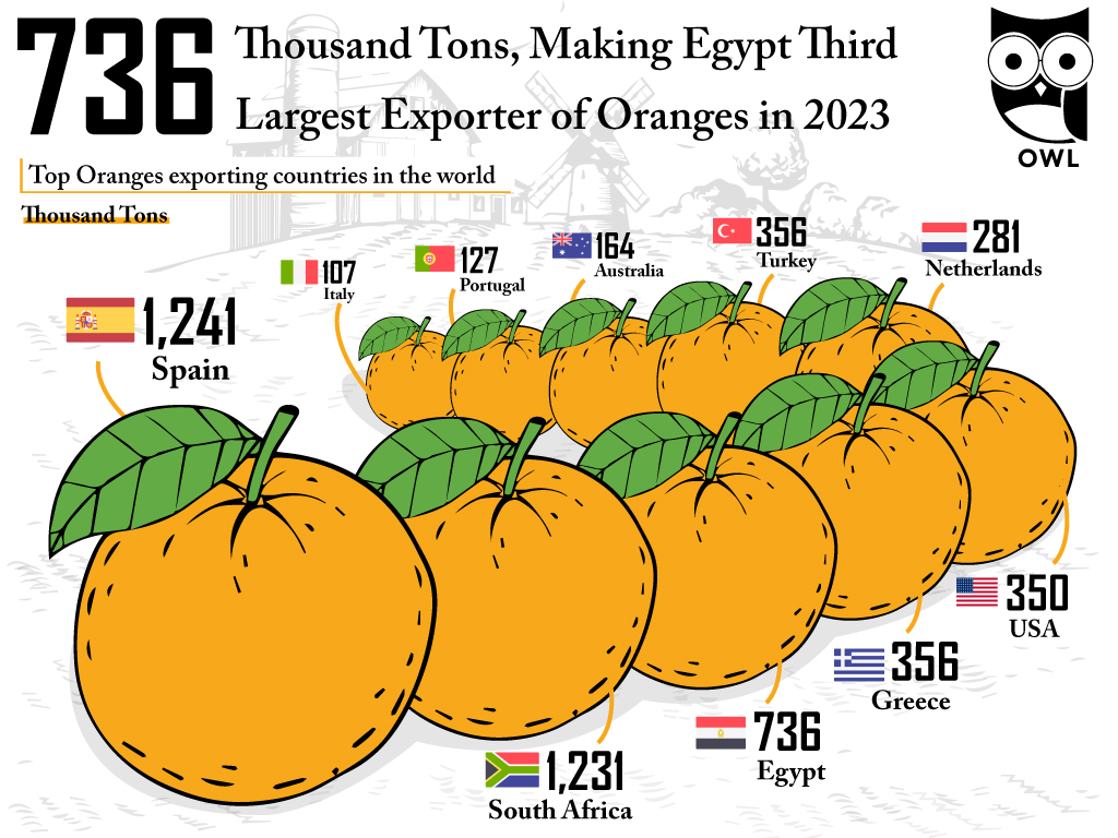 Orange Exports : Egypt Among Top Exporters – OWL Research