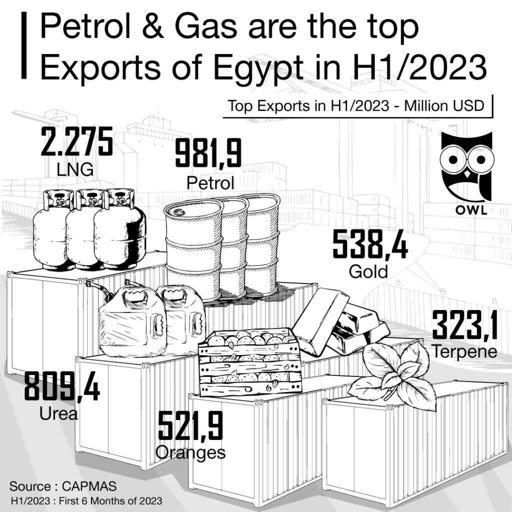 Egypt Exports in H1 2023: Top Products and Trends – OWL Research