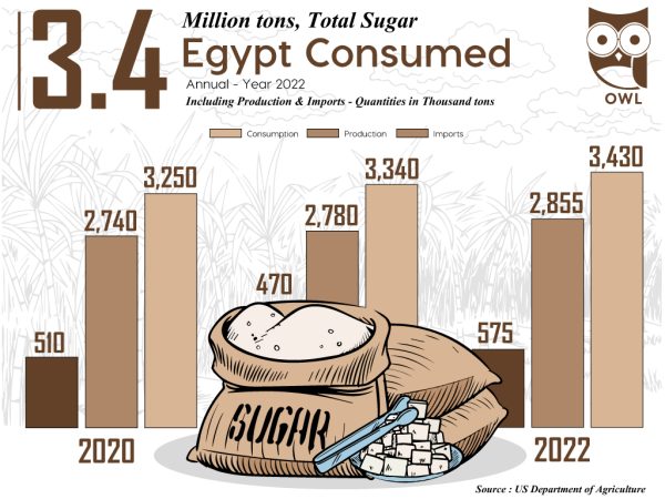 Egypt sugar consumption – OWL Research