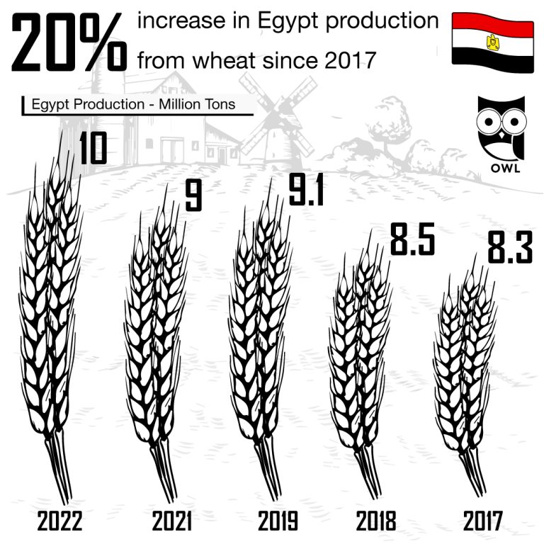 Egypt wheat production – OWL Research