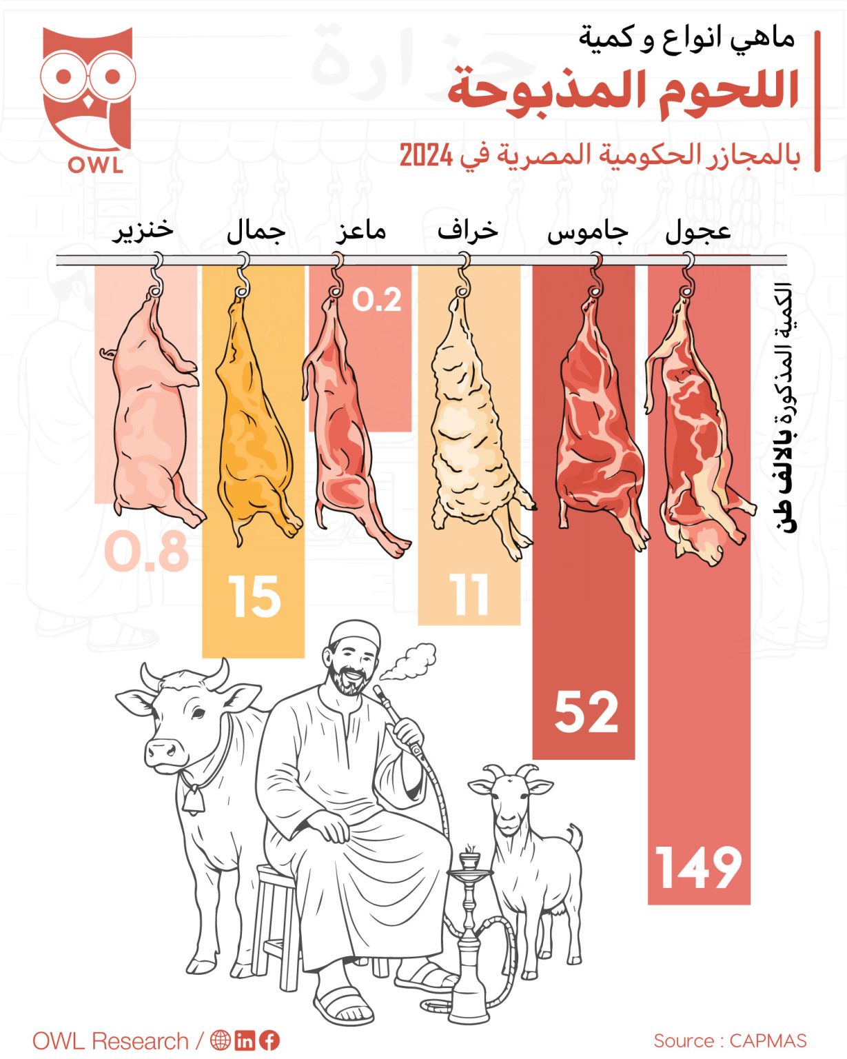 Egypt’s Government Slaughterhouses: What Types of Meat Dominate in 2024 ...